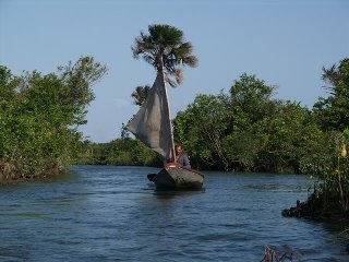 Index of /Blogs/fotos-textos/uploaded_images/