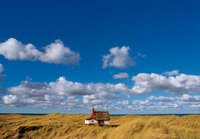 Casas para enamorados - Todo sobre el amor