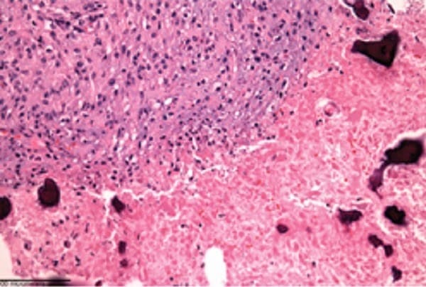 Index of /entretenimiento/manualidades/wp-content/uploads/2014/08/