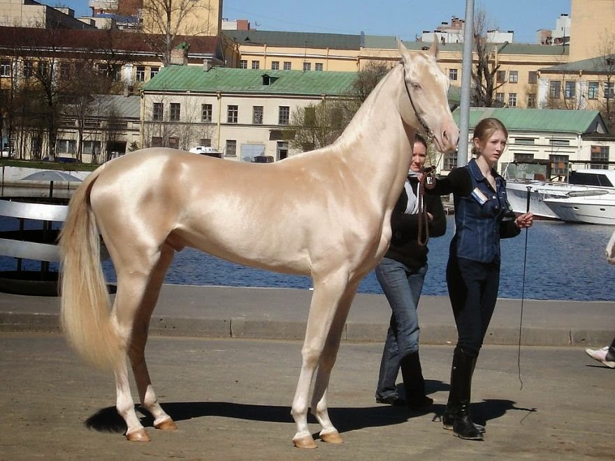 Index of /hogar/wp-content/uploads/sites/5/2015/08/