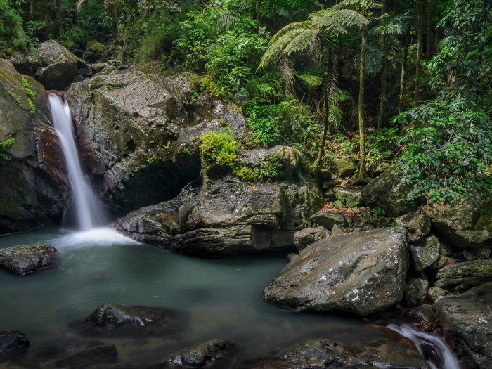 el-yunque-puerto-rico - Viajar